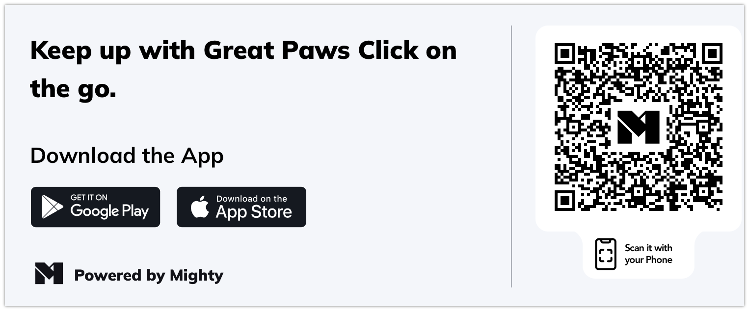 Click - Great Paws